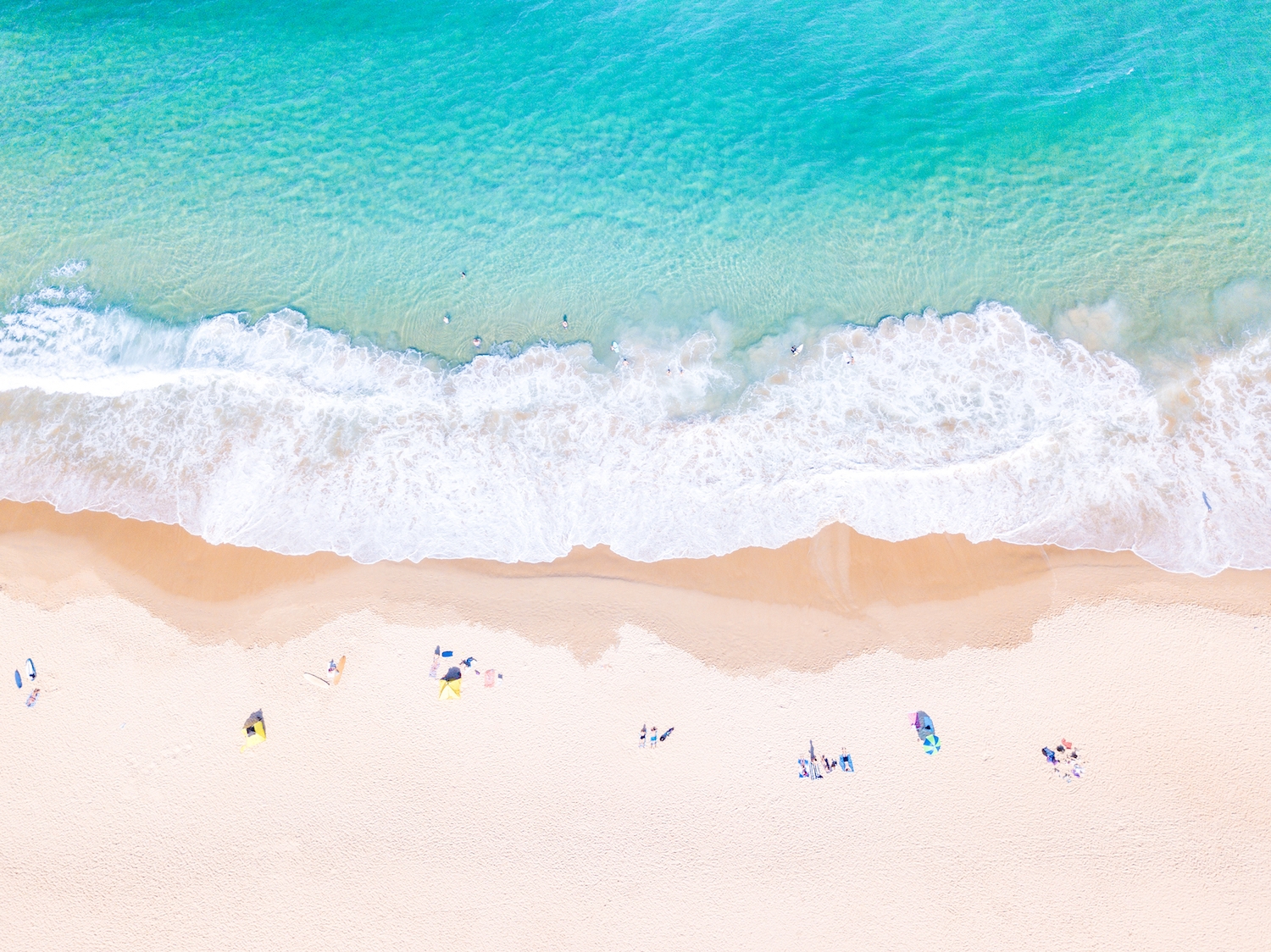 Visit Noosa | Iconic Beachside Experiences
