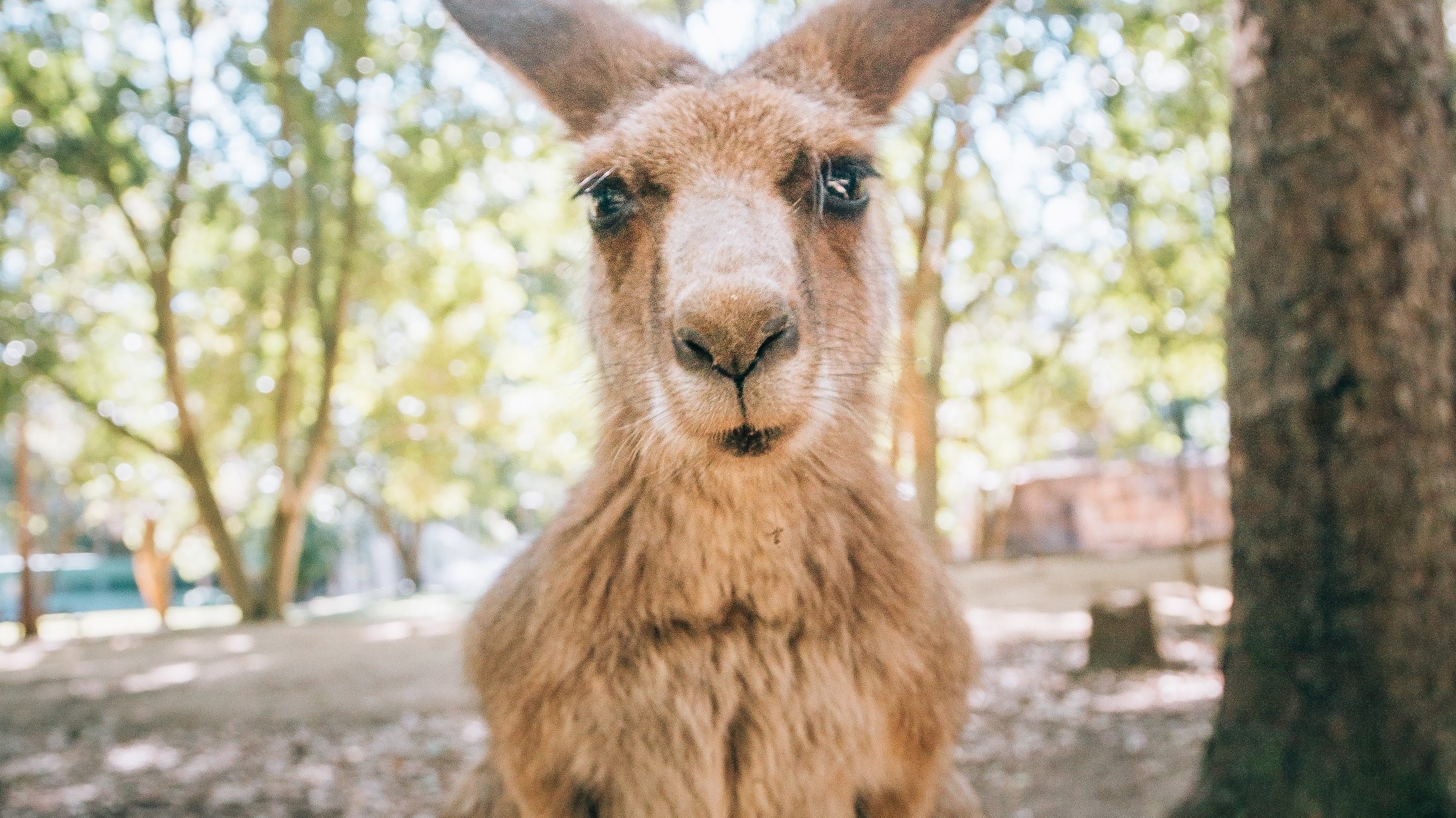 Visit Noosa | Experience Noosa