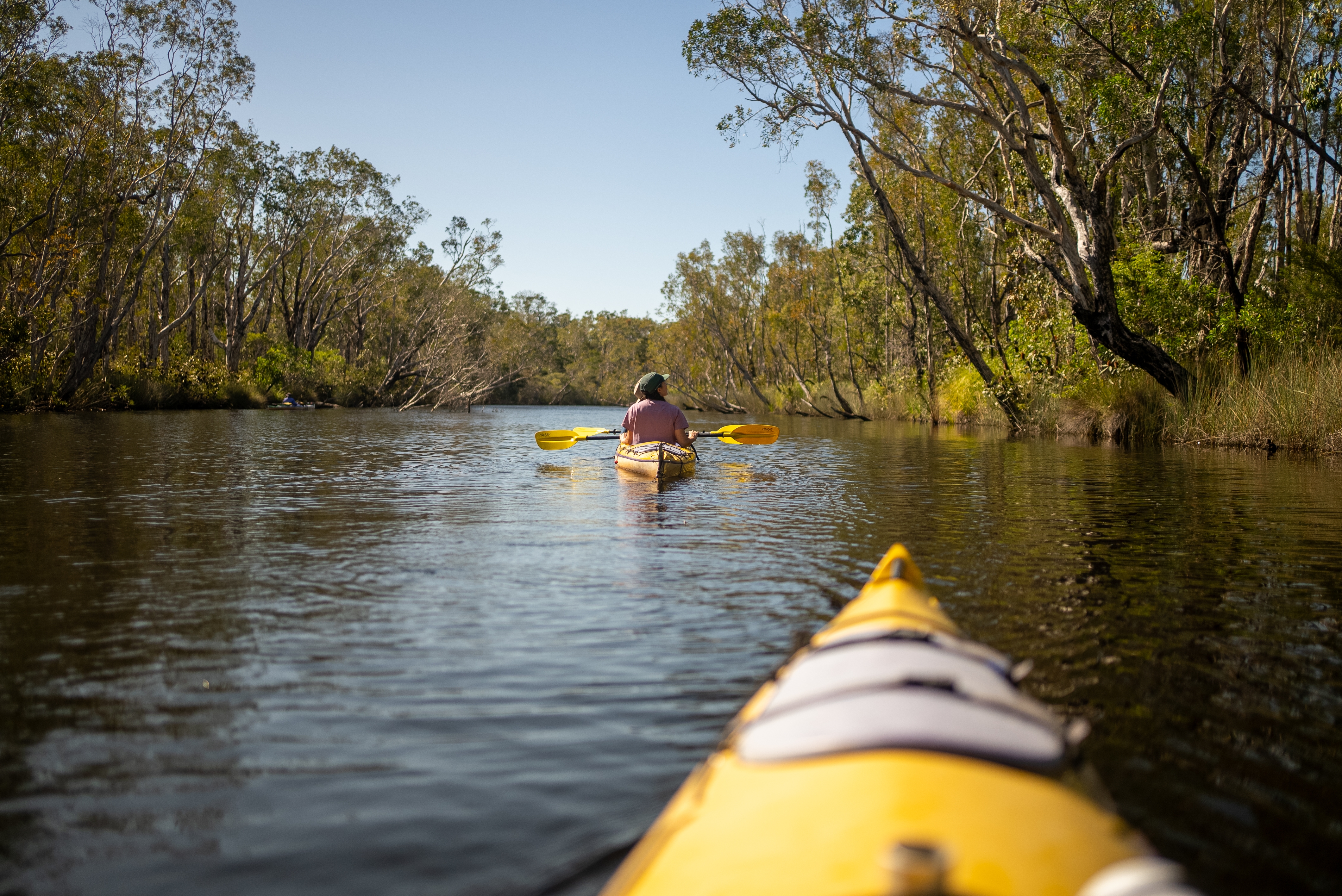 Visit Noosa | Noosa Biosphere: Nurturing Nature Through Five Key…