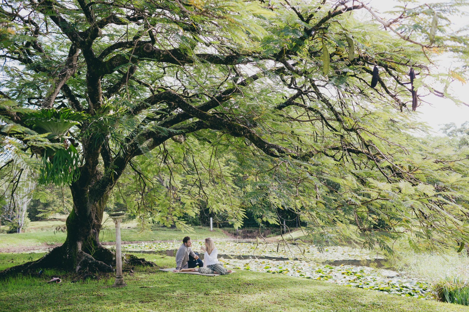 Visit Noosa | Eumundi & Doonan