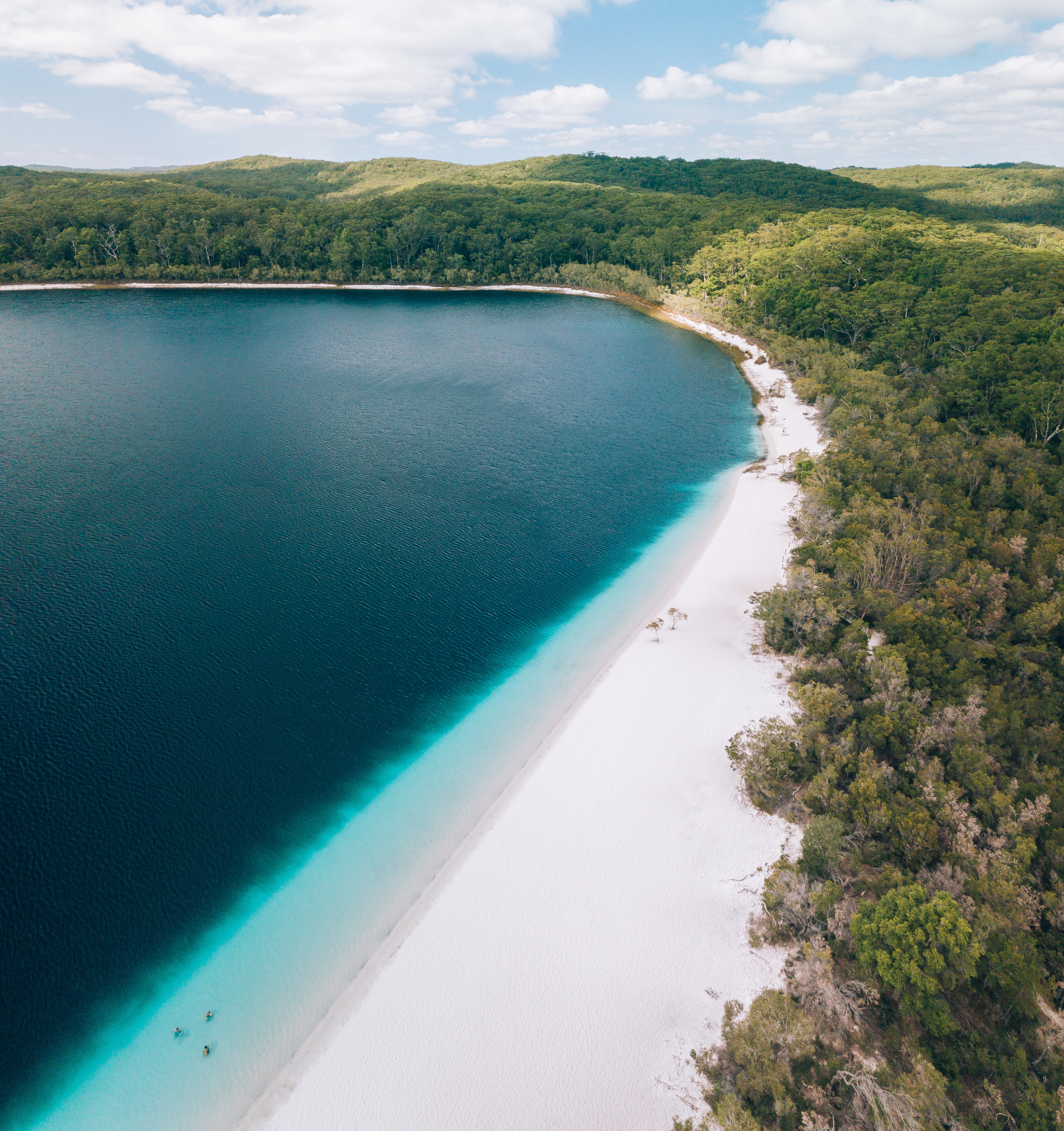 Visit Noosa | Noosa Heads Surf Club