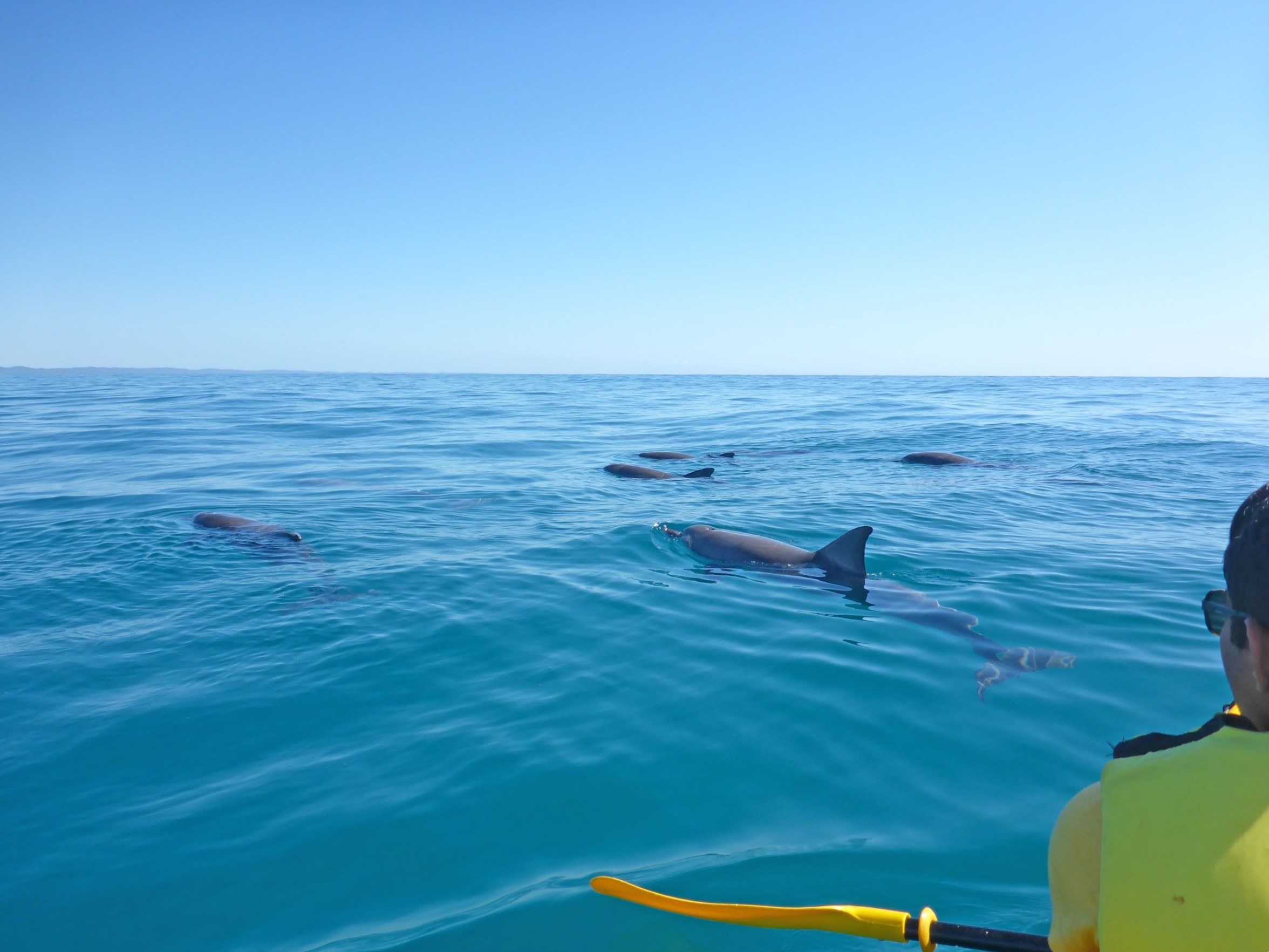 Visit Noosa | Epic Ocean Adventures