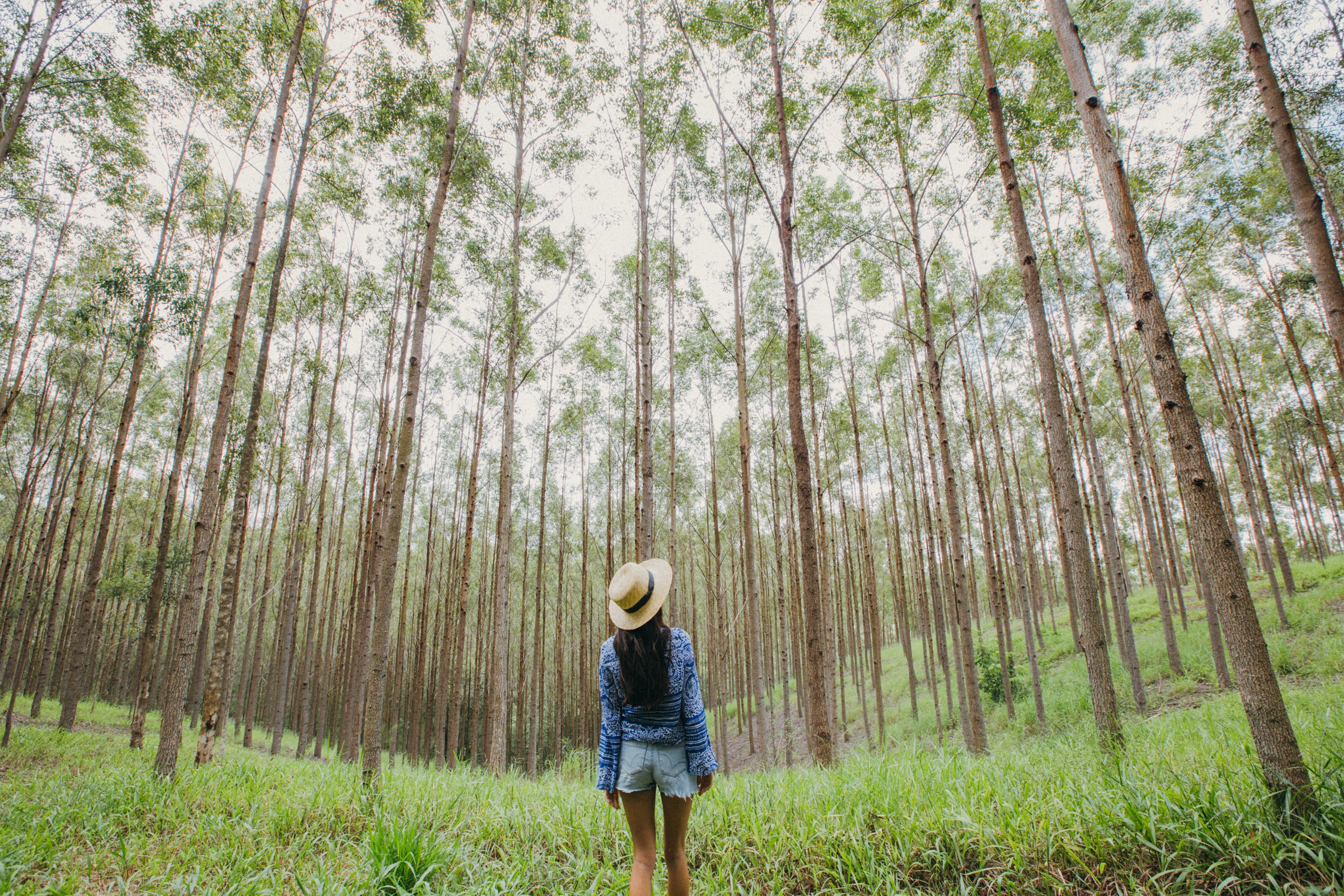 Visit Noosa | 10 WAYS TO IMPROVE YOUR ENVIRONMENTAL FOOT PRINT