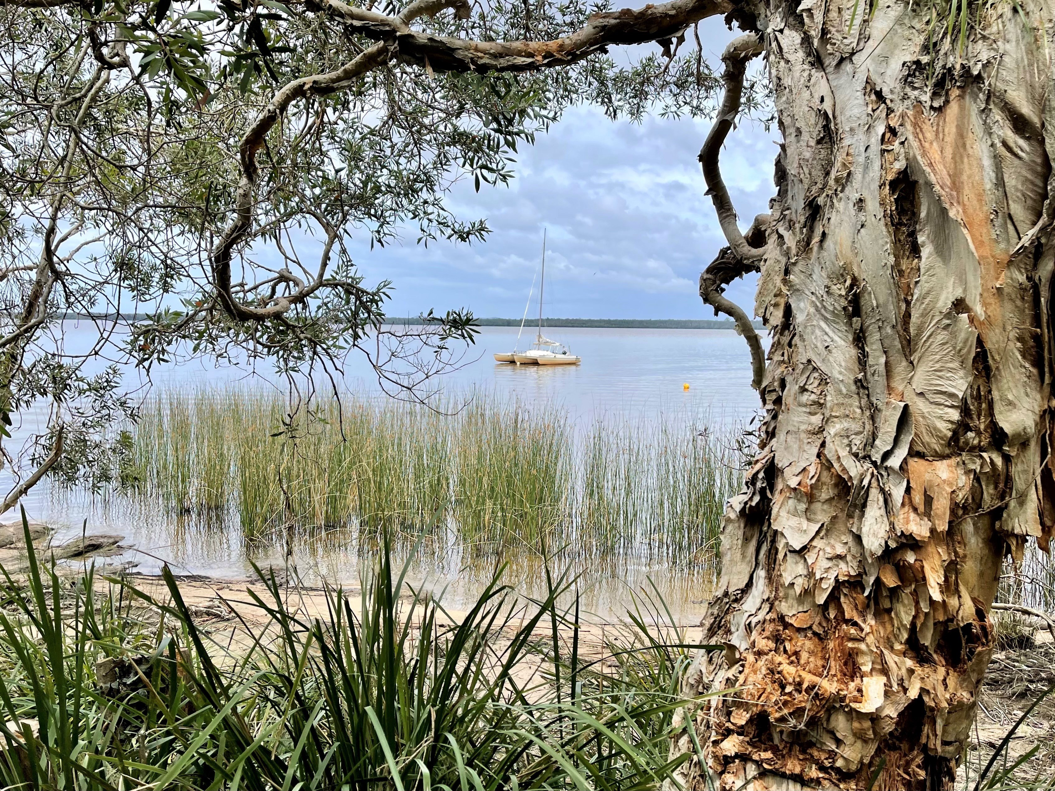 Visit Noosa | Boreen Point