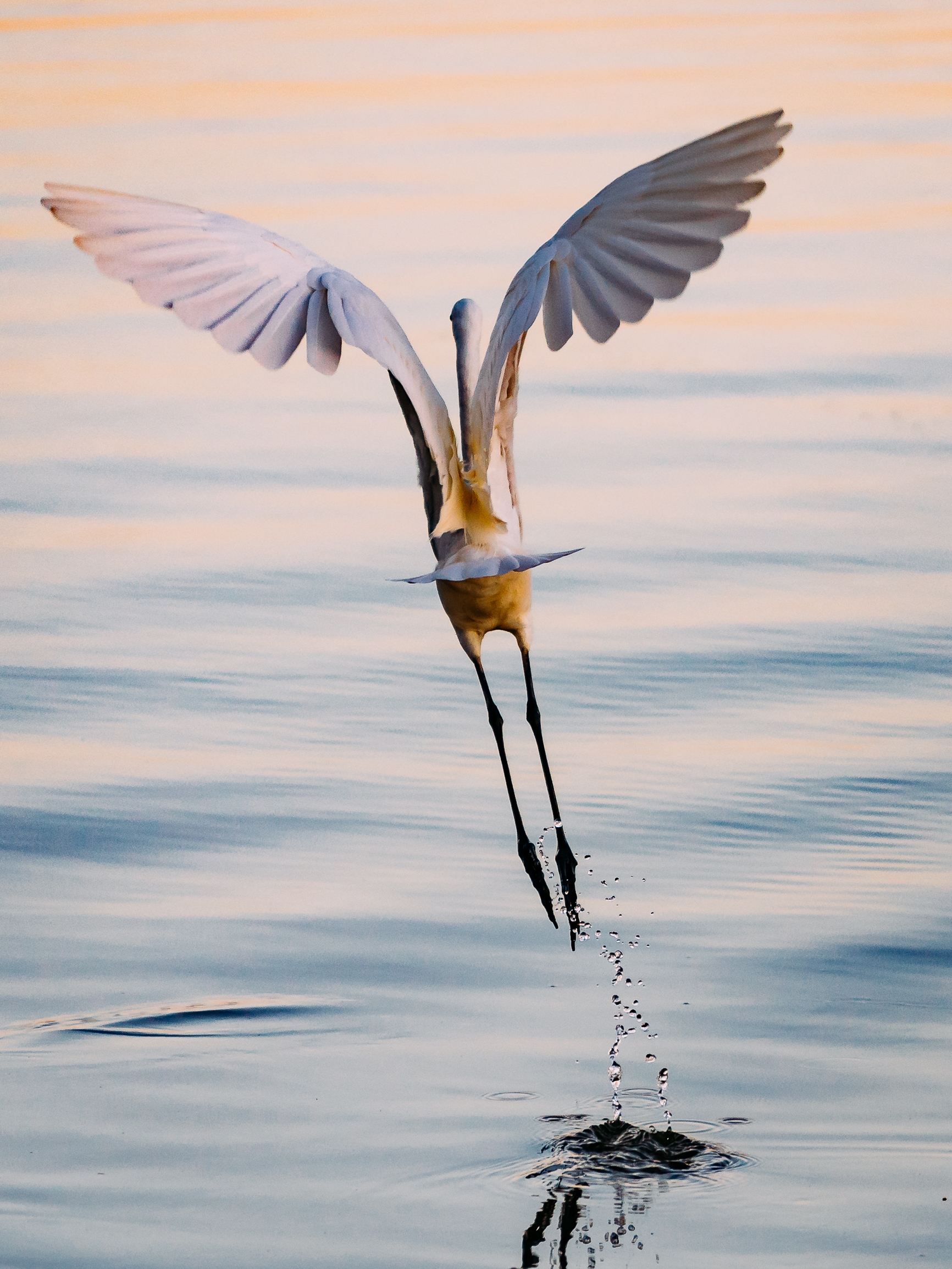Visit Noosa | Nature & Wildlife