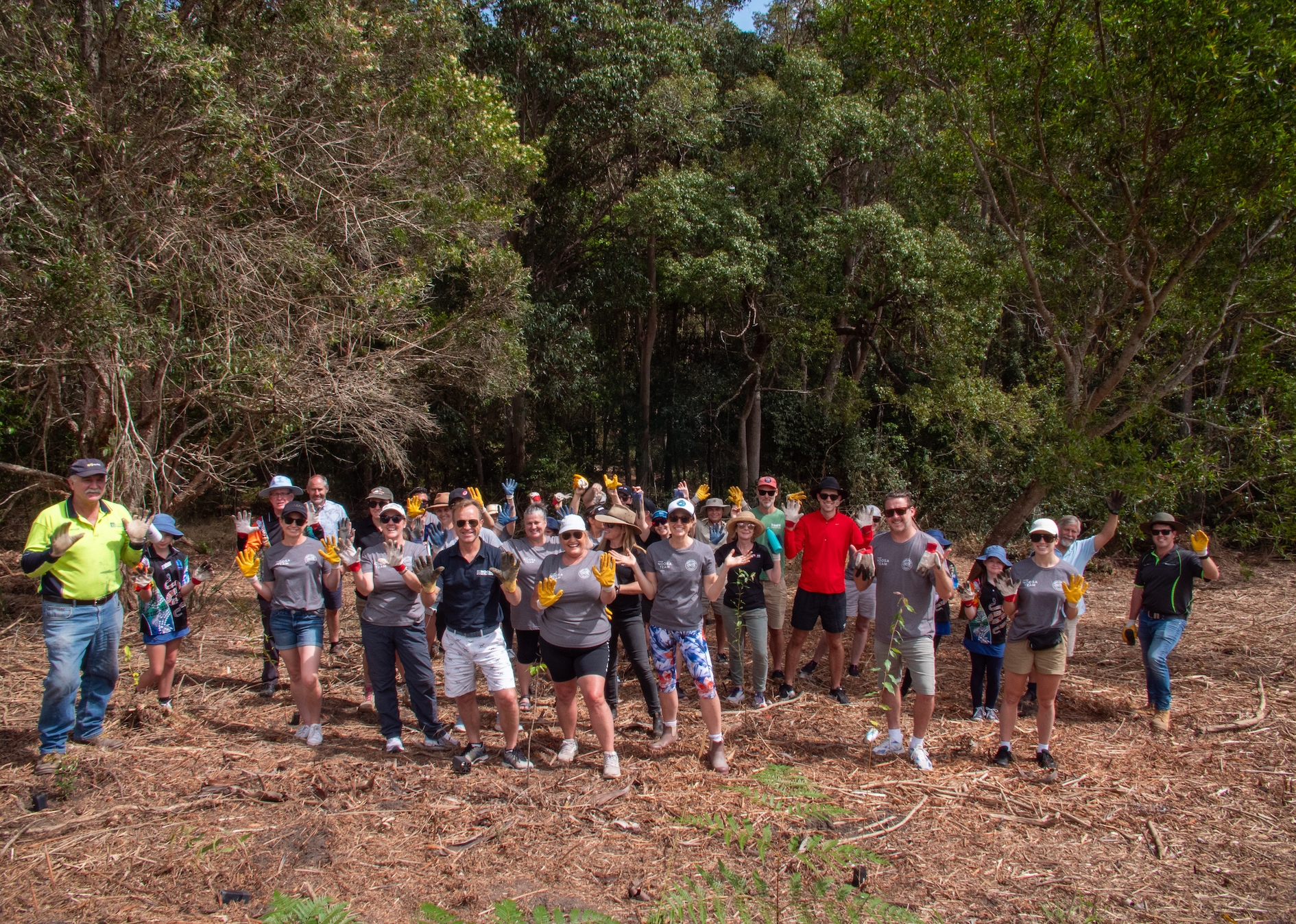 Visit Noosa | TREES FOR TOURISM PLANTING SHOWCASES TRAVEL FOR GOOD