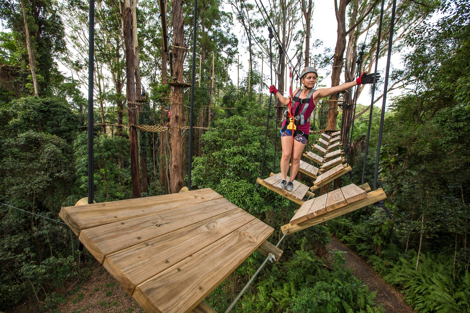 Visit Noosa | TreeTop Challenge Sunshine Coast