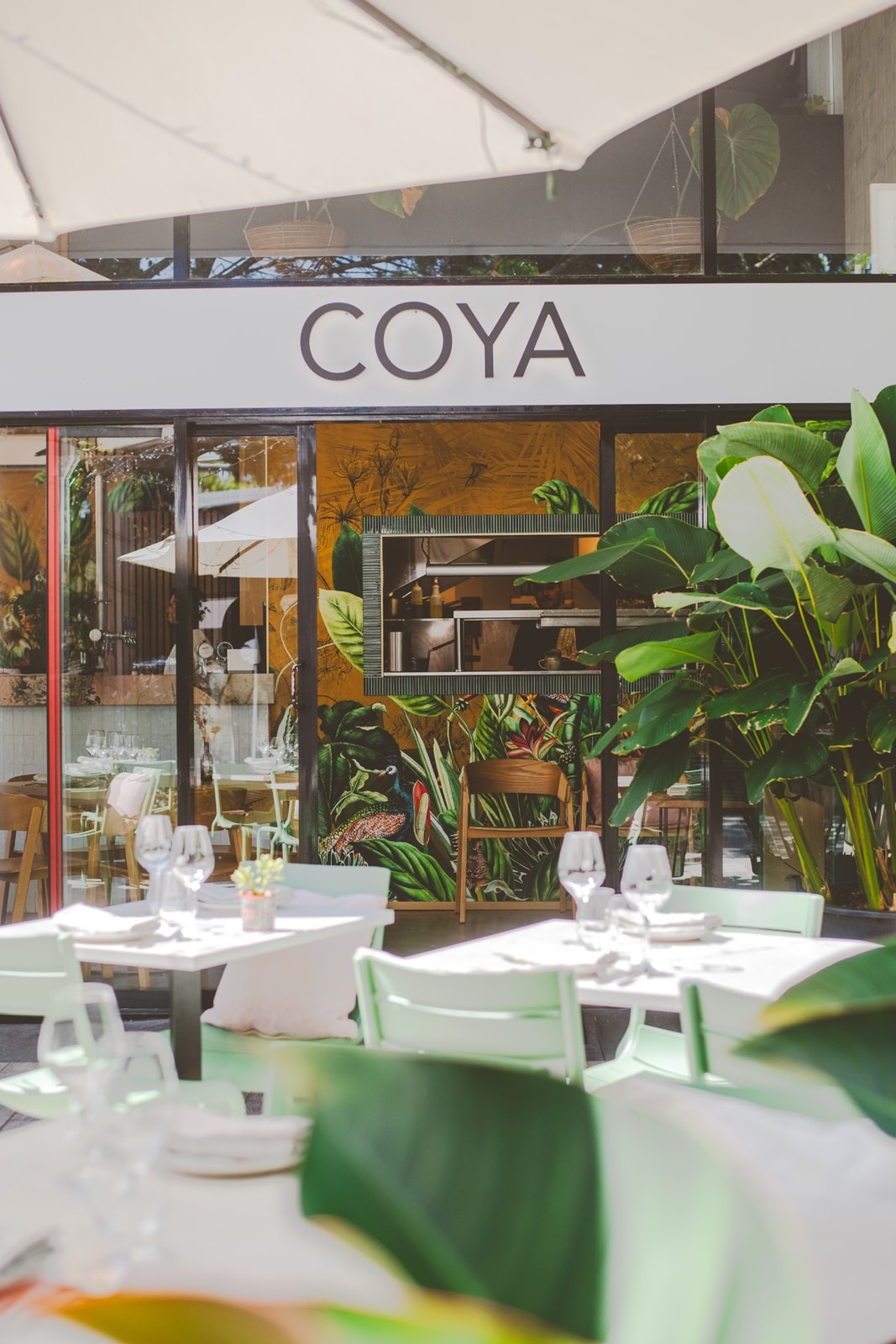 Visit Noosa | Coya