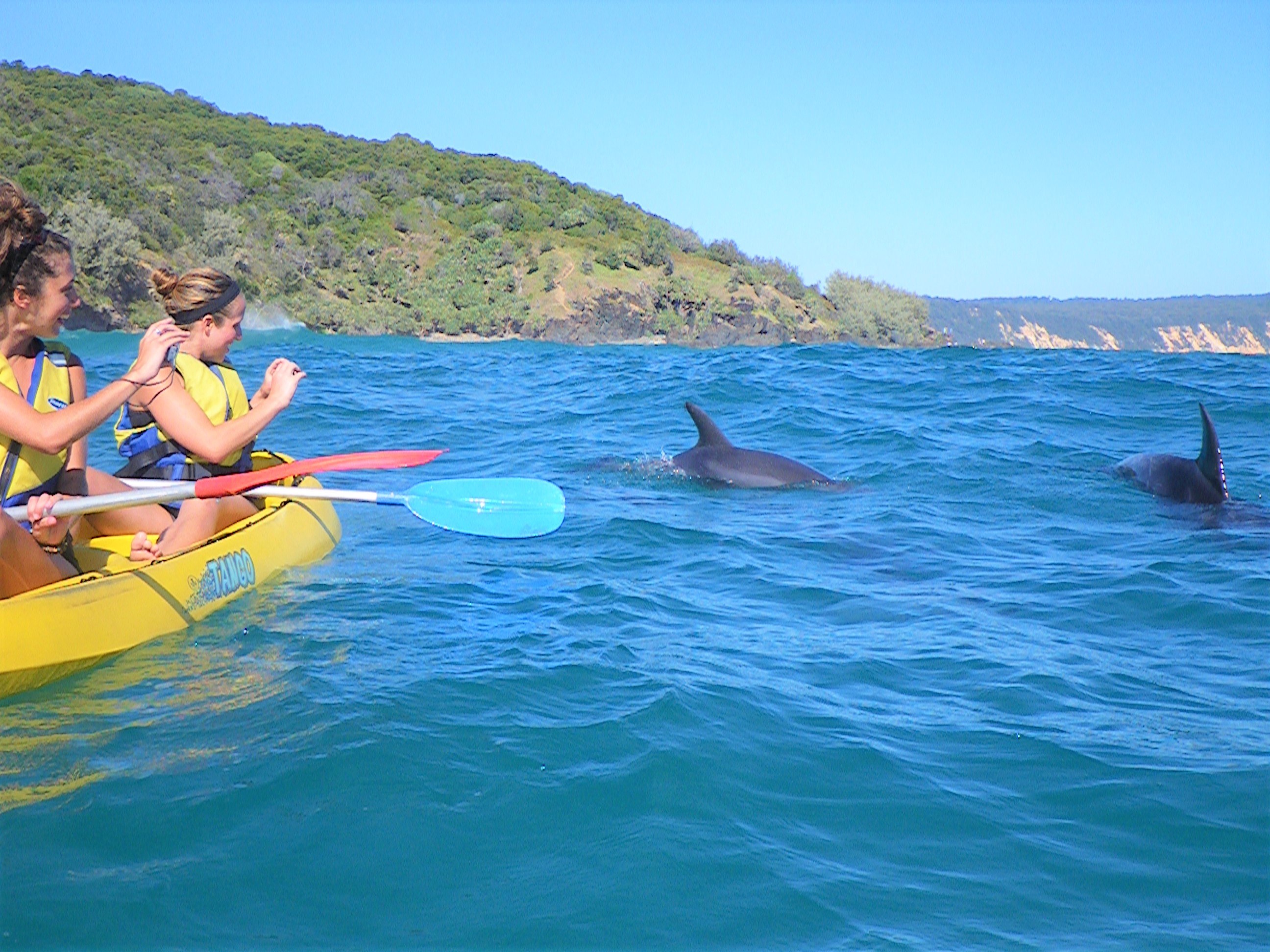 Business Events Noosa | Epic Ocean Adventures