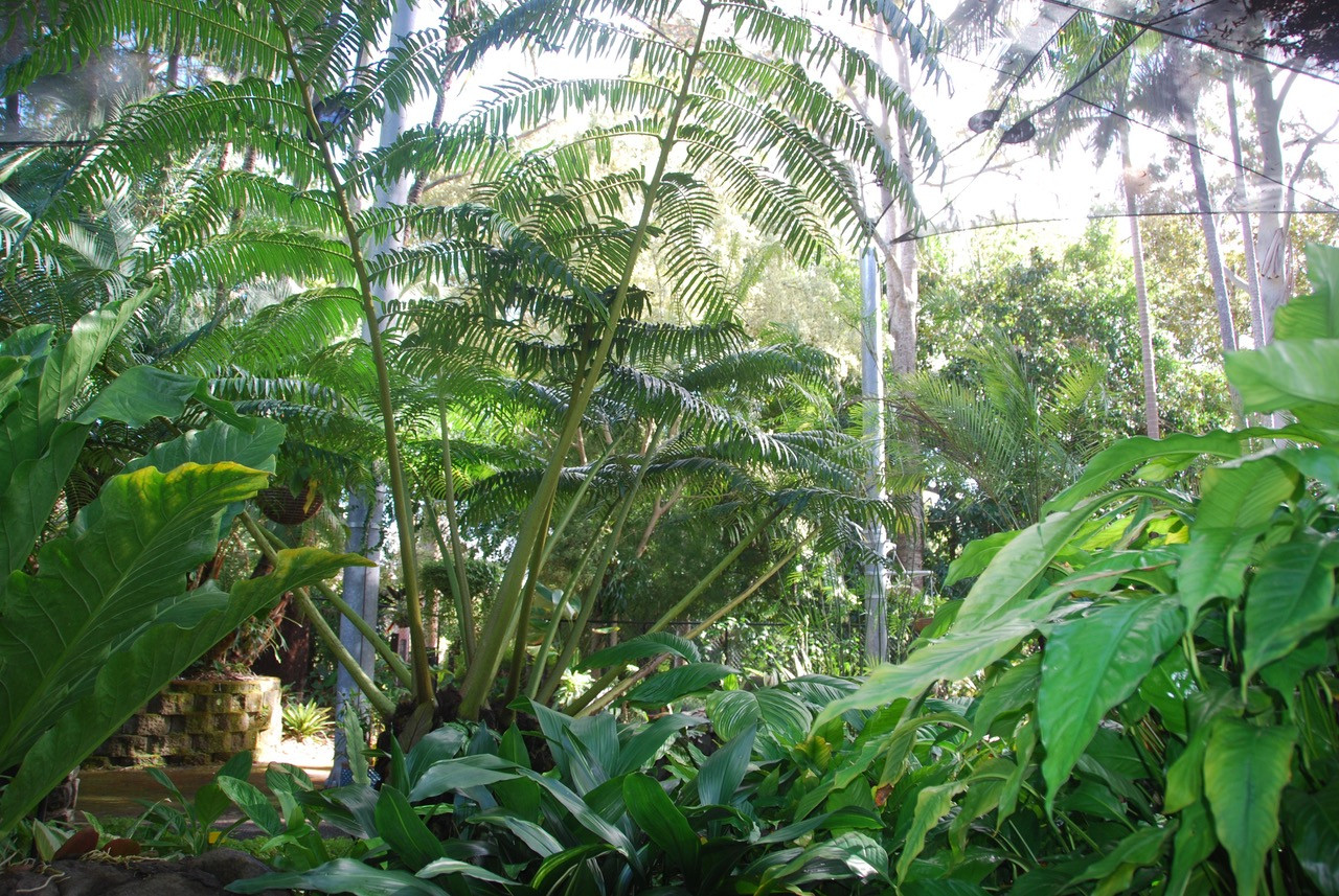 Visit Noosa | Friends of Noosa Botanic Gardens Inc