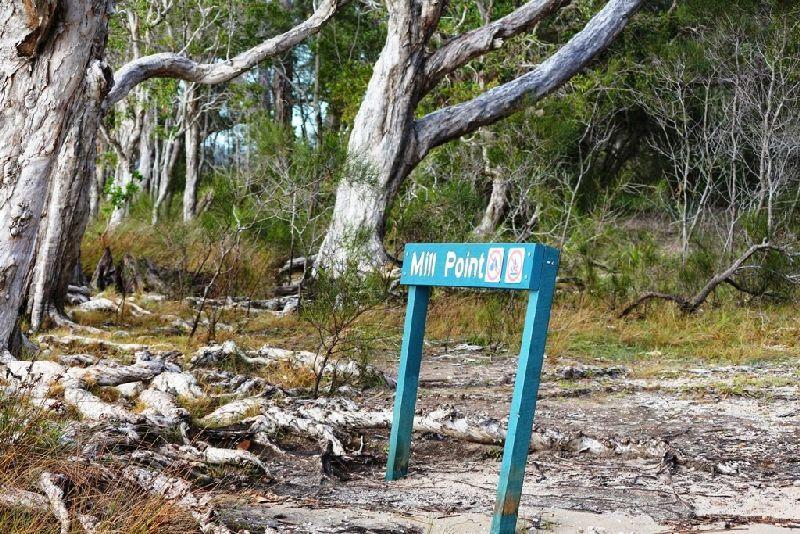 Visit Noosa | Mill Point