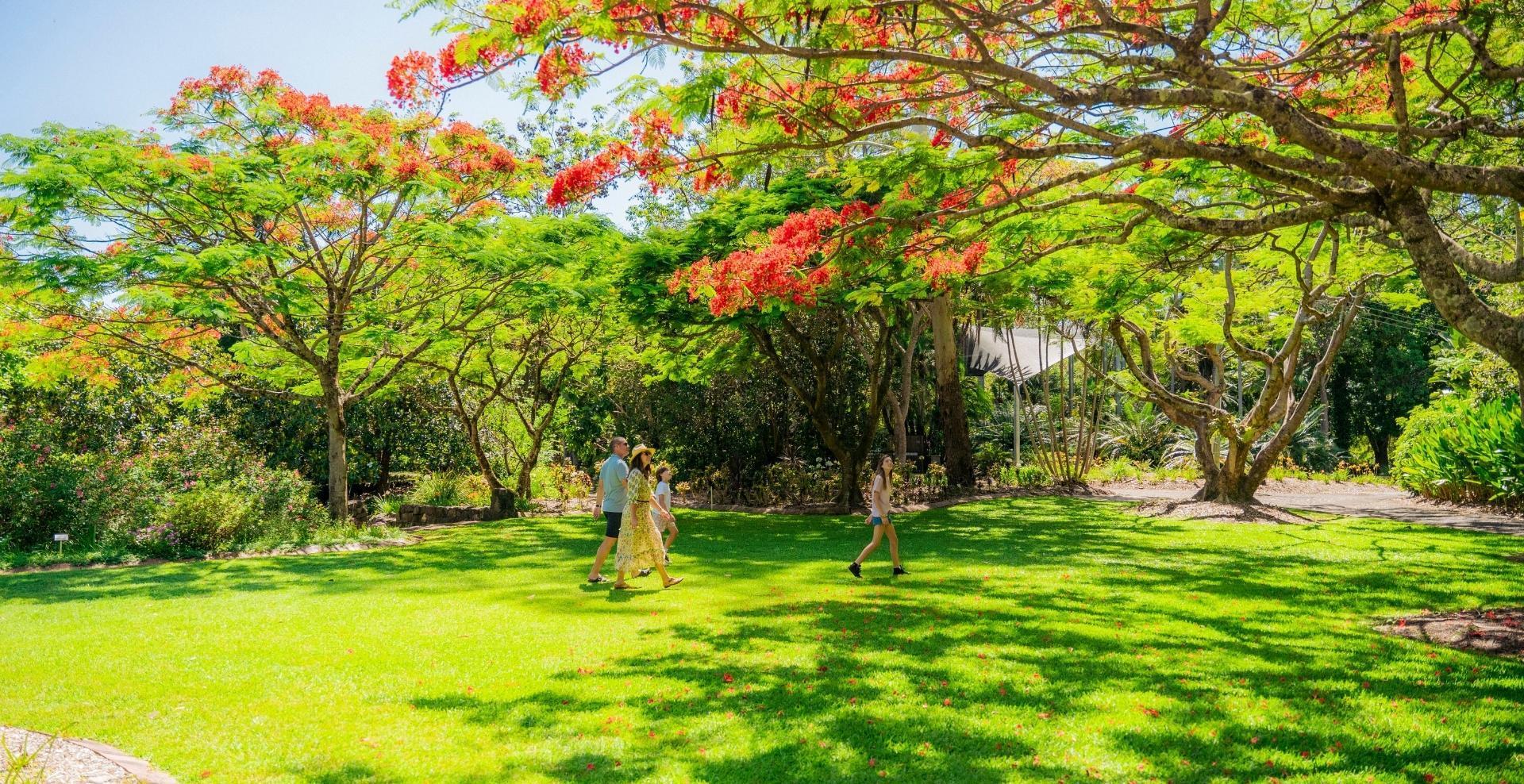 Visit Noosa | Noosa Botanic Gardens
